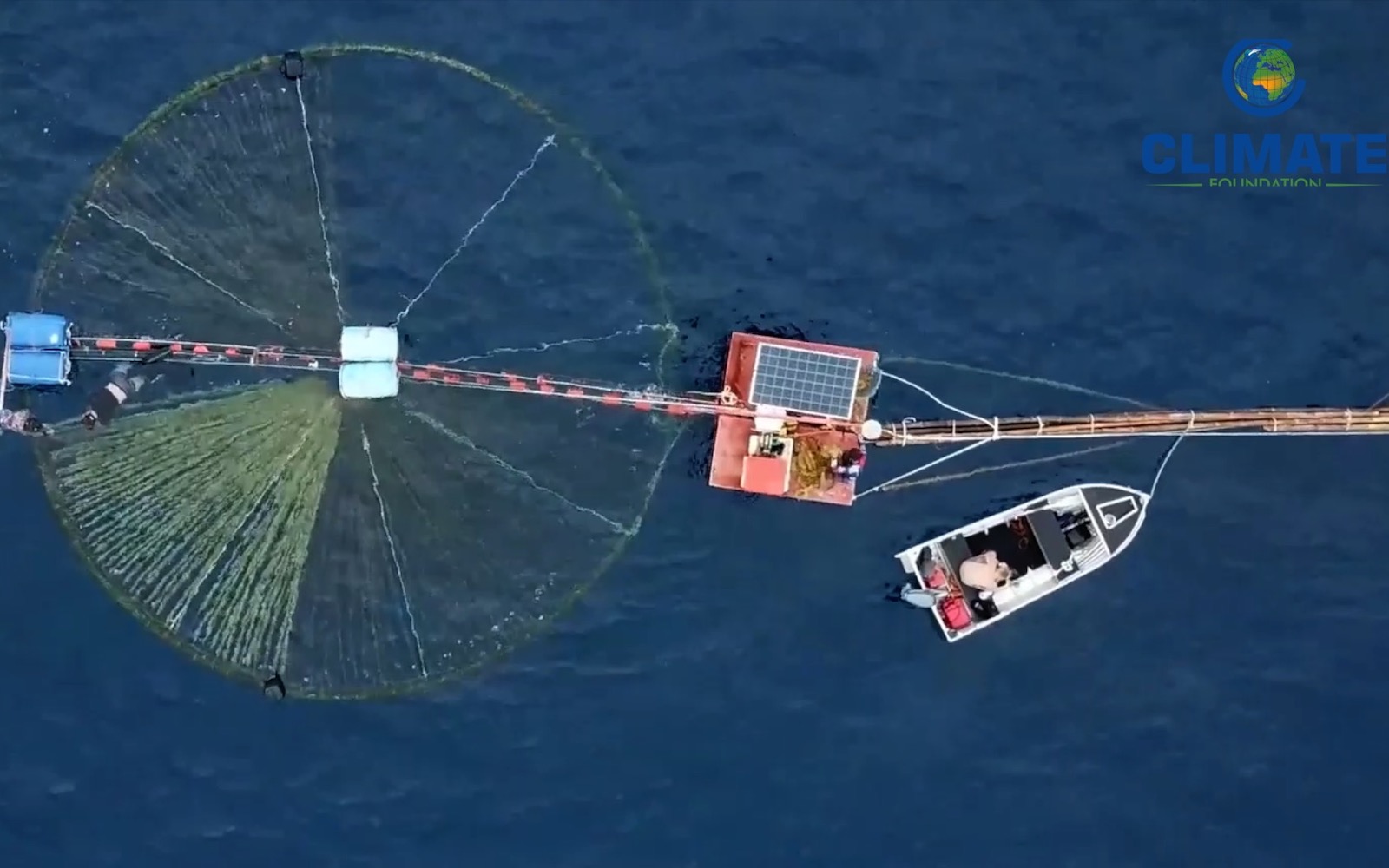 Climate Foundation | Blue Climate Initiative