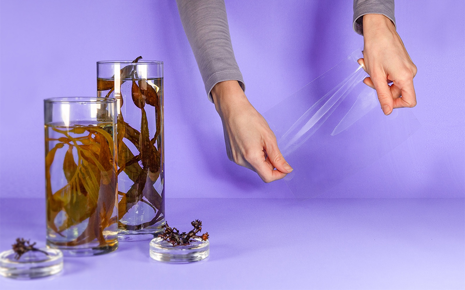 Sway | Blue Climate Initiative