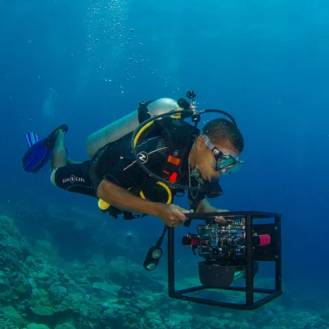 The Ocean Guardians Project - Palau Micronesia | Blue Climate Initiative