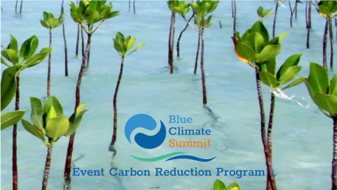 A Climate Positive Event | Blue Climate Initiative